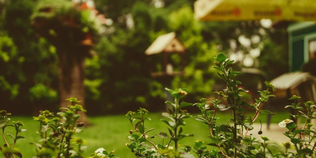 Fall Landscape Ideas: 29 Amazing Ideas For Your Backyard