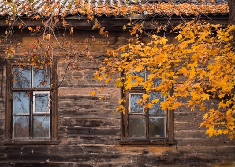 Fall Landscape Ideas: 29 Amazing Ideas For Your Backyard