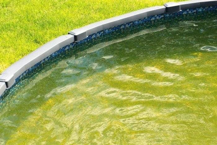 Stock Tank Pool Ideas: Transform Your Backyard with Simple Elegance