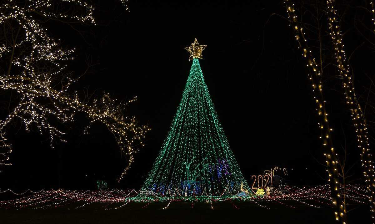 How to Make Outdoor Christmas Trees Out of Lights: A Simple DIY Guide